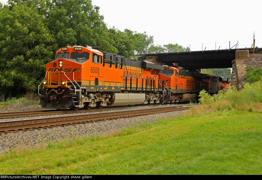 BNSF 6508 Leads a stack train WB at peck park.